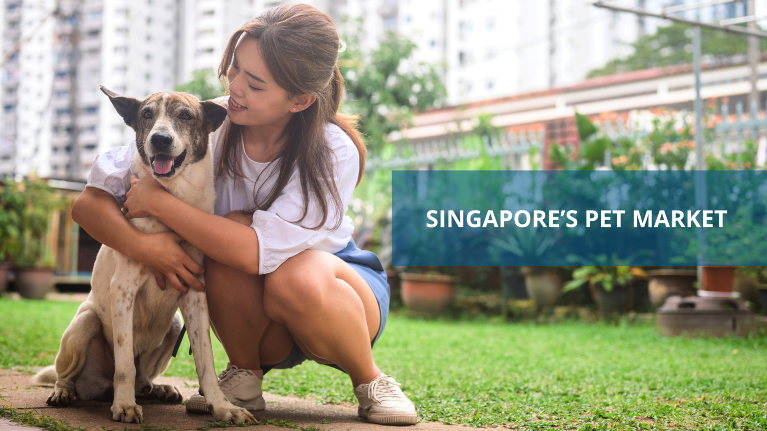 Barking at the Right Tree - Singapore's Pet Market